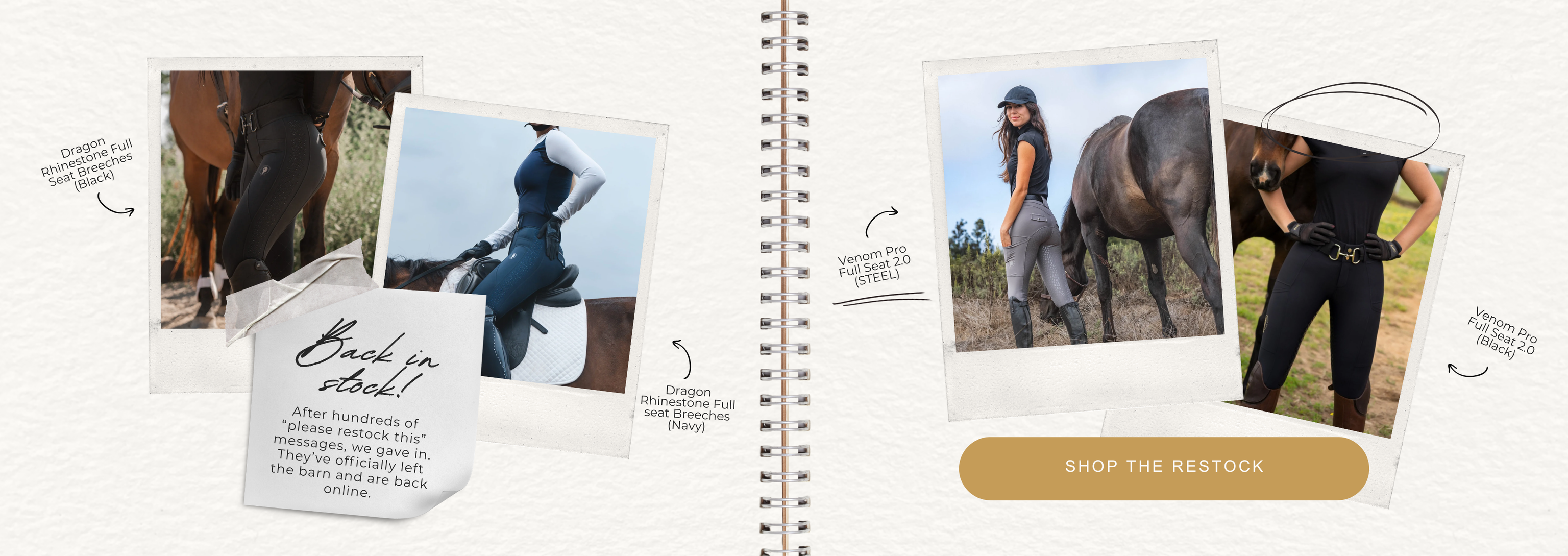 Sync Equestrian – Because Every Rider is an Athlete