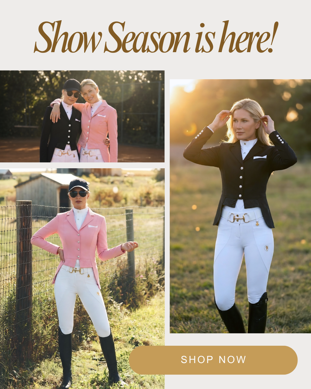 Sync Equestrian – Because Every Rider is an Athlete