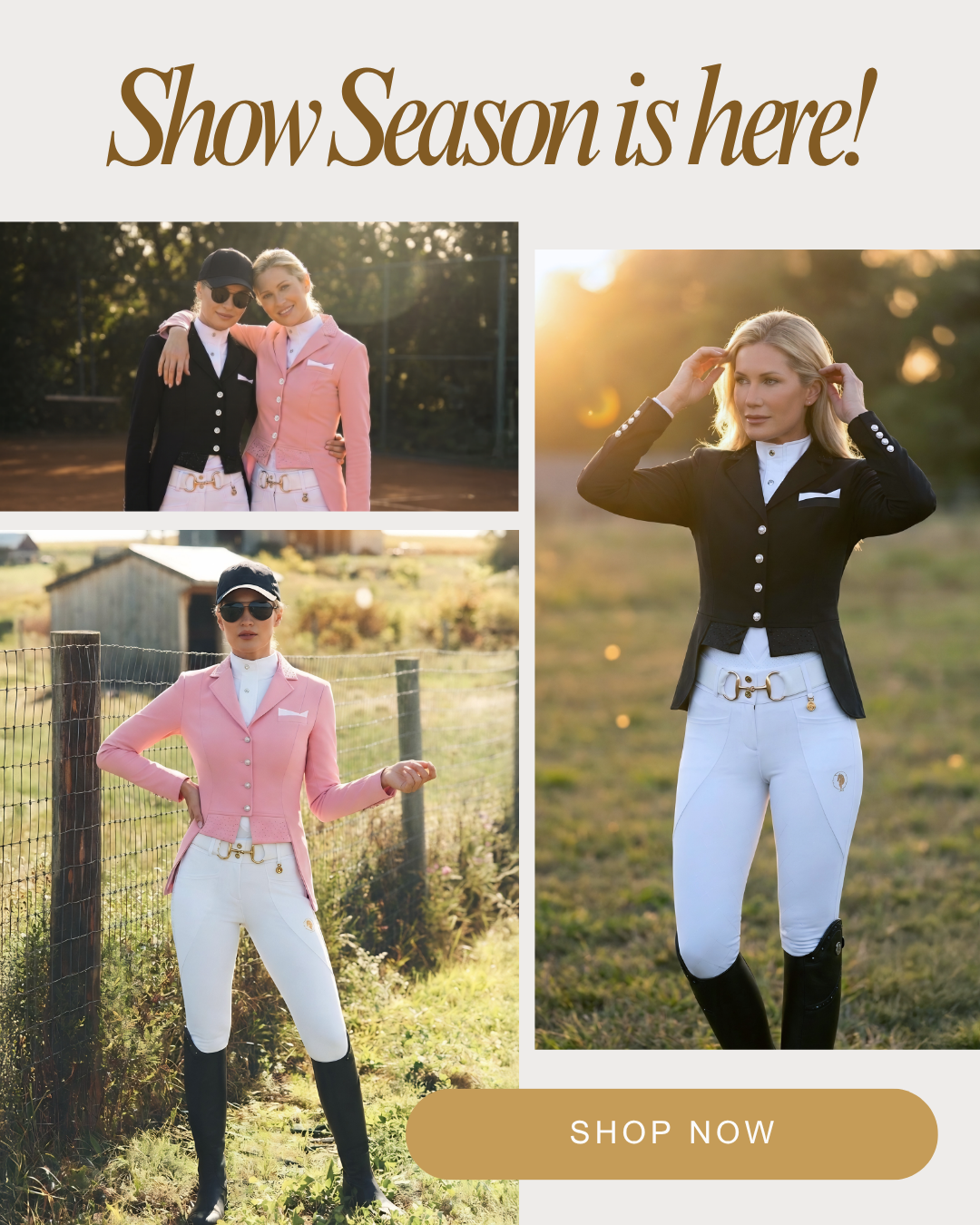 Sync Equestrian – Because Every Rider is an Athlete
